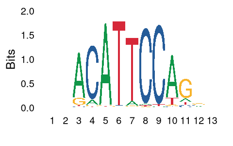 JASPAR - TEAD1 - MA0090.3 - profile summary