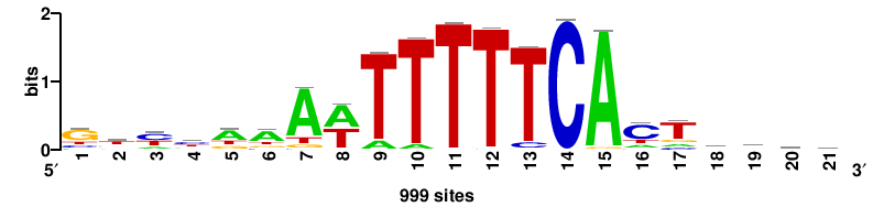 matrix-clustering JASPAR_2022_fungi_CORE