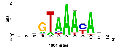 matrix-clustering JASPAR_2022_fungi_CORE