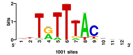 matrix-clustering JASPAR_2022_fungi_CORE