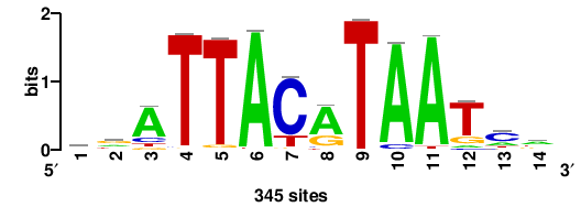 matrix-clustering JASPAR_2022_fungi_CORE