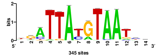 matrix-clustering JASPAR_2022_fungi_CORE