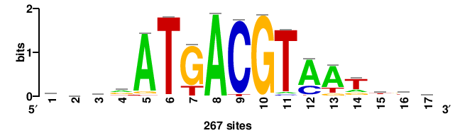 matrix-clustering JASPAR_2022_fungi_CORE