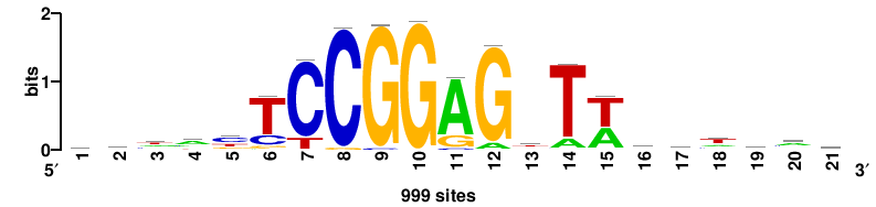 matrix-clustering JASPAR_2022_fungi_CORE
