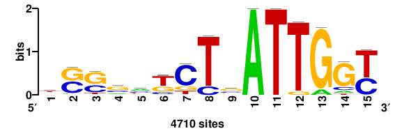 matrix-clustering JASPAR_2022_fungi_CORE