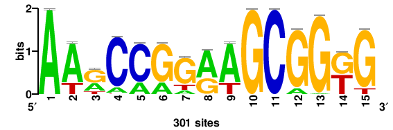 matrix-clustering JASPAR_2022_fungi_CORE