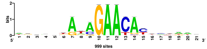 matrix-clustering JASPAR_2022_fungi_CORE