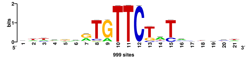 matrix-clustering JASPAR_2022_fungi_CORE