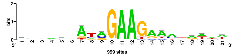 matrix-clustering JASPAR_2022_fungi_CORE