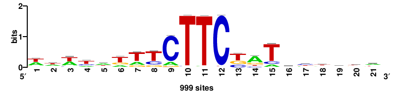 matrix-clustering JASPAR_2022_fungi_CORE