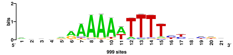 matrix-clustering JASPAR_2022_fungi_CORE