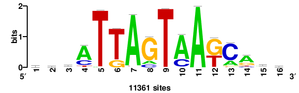 matrix-clustering JASPAR_2022_fungi_CORE
