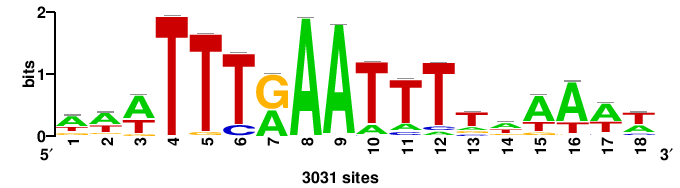 matrix-clustering JASPAR_2022_plants_CORE