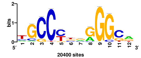 matrix-clustering JASPAR_2022_vertebrates_CORE