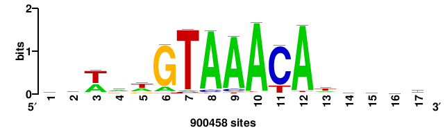 matrix-clustering JASPAR_2022_vertebrates_CORE