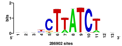matrix-clustering JASPAR_2022_vertebrates_CORE