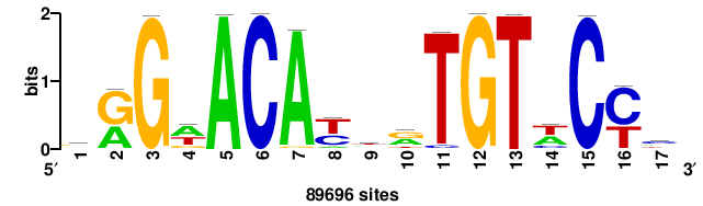 matrix-clustering JASPAR_2022_vertebrates_CORE