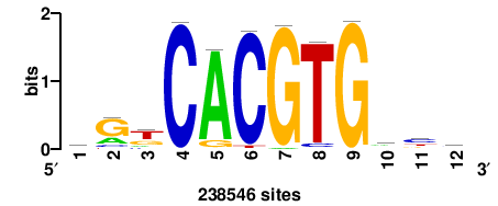 matrix-clustering JASPAR_2022_vertebrates_CORE
