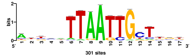matrix-clustering JASPAR_2022_vertebrates_CORE