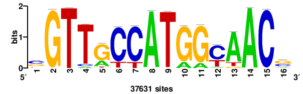 matrix-clustering JASPAR_2022_vertebrates_CORE