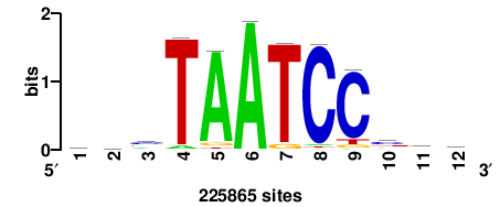 matrix-clustering JASPAR_2022_vertebrates_CORE