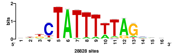 matrix-clustering JASPAR_2022_vertebrates_CORE