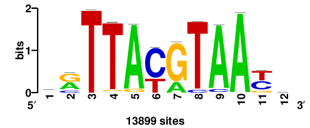 matrix-clustering JASPAR_2022_vertebrates_CORE