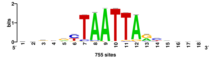 matrix-clustering JASPAR_2022_vertebrates_CORE