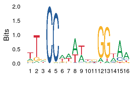JASPAR - AGL1 - MA0585.2 - profile summary