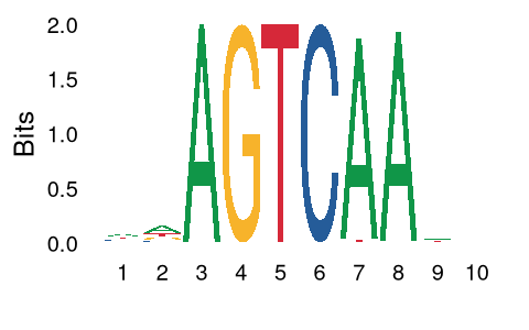 JASPAR - WRKY40 - MA1085.2 - profile summary