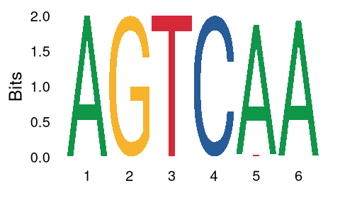 JASPAR - WRKY40 - MA1085.3 - profile summary