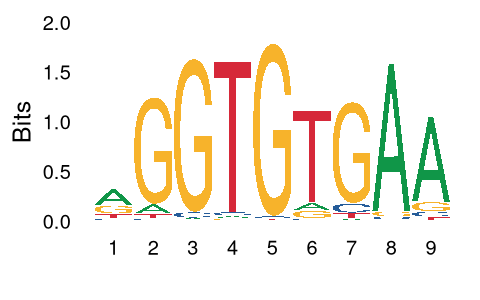 JASPAR - Tbx6 - MA1567.3 - profile summary