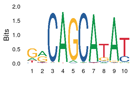 JASPAR - ZNF490 - UN0197.2 - profile summary