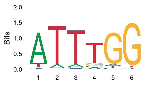 JASPAR - Mef2 - UN0454.2 - profile summary