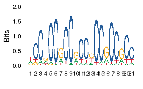 JASPAR - SHN2 - UN0836.1 - profile summary