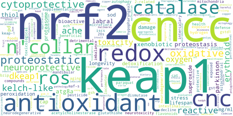 JASPAR - cnc::maf-S - MA0530.2 - profile summary